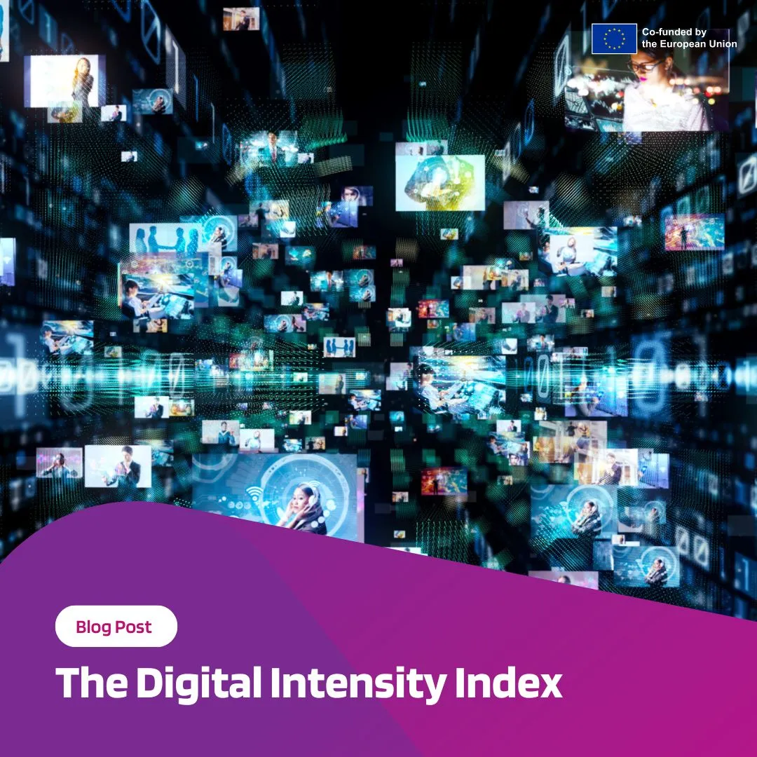 Boost SME Growth with Digital Intensity Index Insights